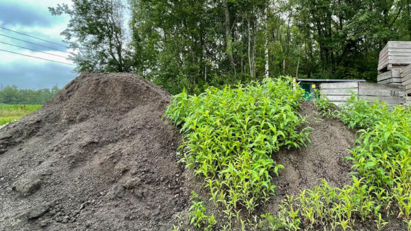 Results - SoilSteam International