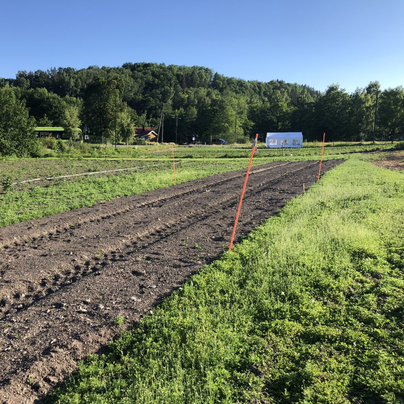 Science - SoilSteam International